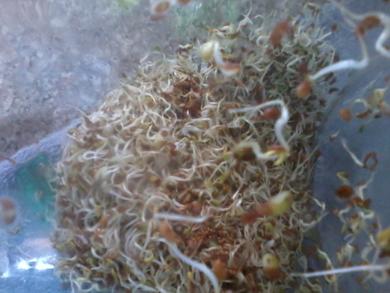 Tu Espacio Saludable