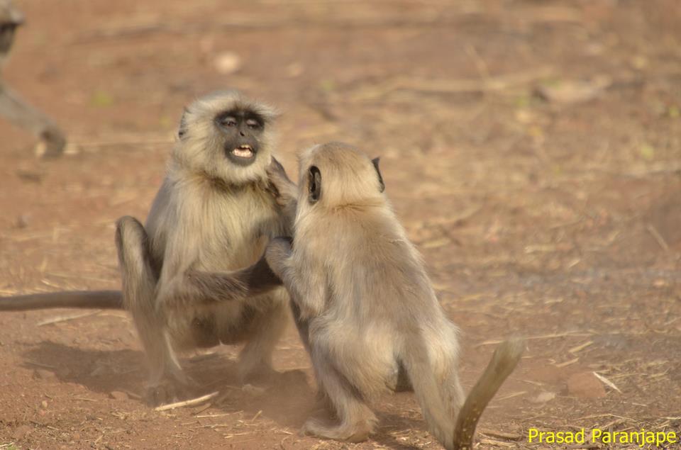 Strewn Ashes: March 2012