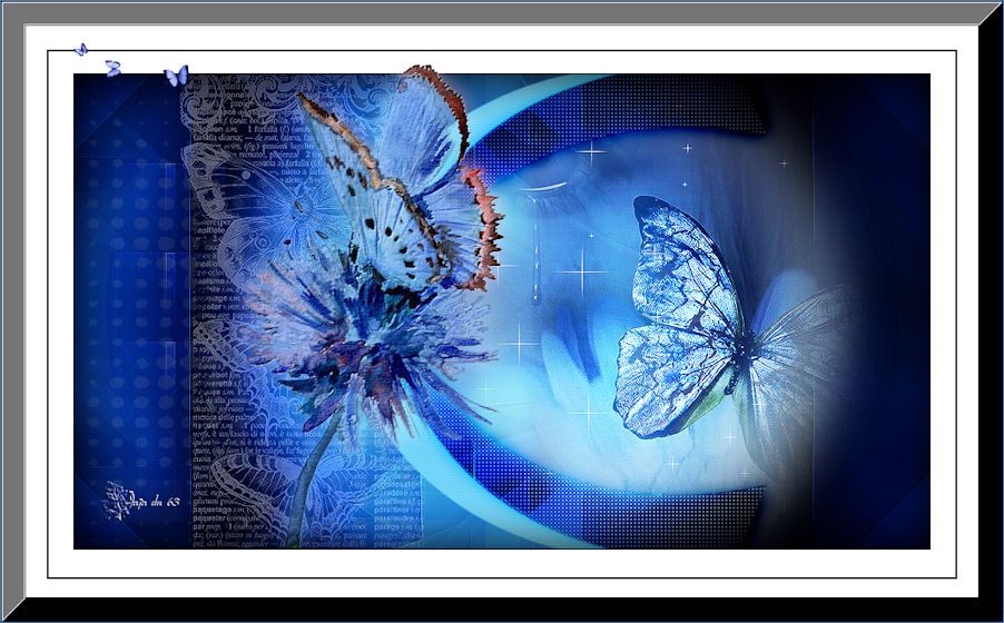 Le blog de Libellule: Morpho bleu