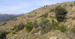 C. de la Tierra y del Medioambiente: Conceptos básicos :Sistema de ...