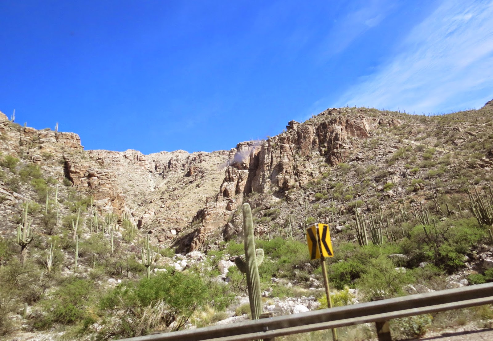 Where's Liz? 2014: Sky Island Scenic Byway, Mt. Lemmon, Tucson, AZ