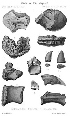 Equatorial Minnesota: Titanosaur osteoderms: introduction and history ...