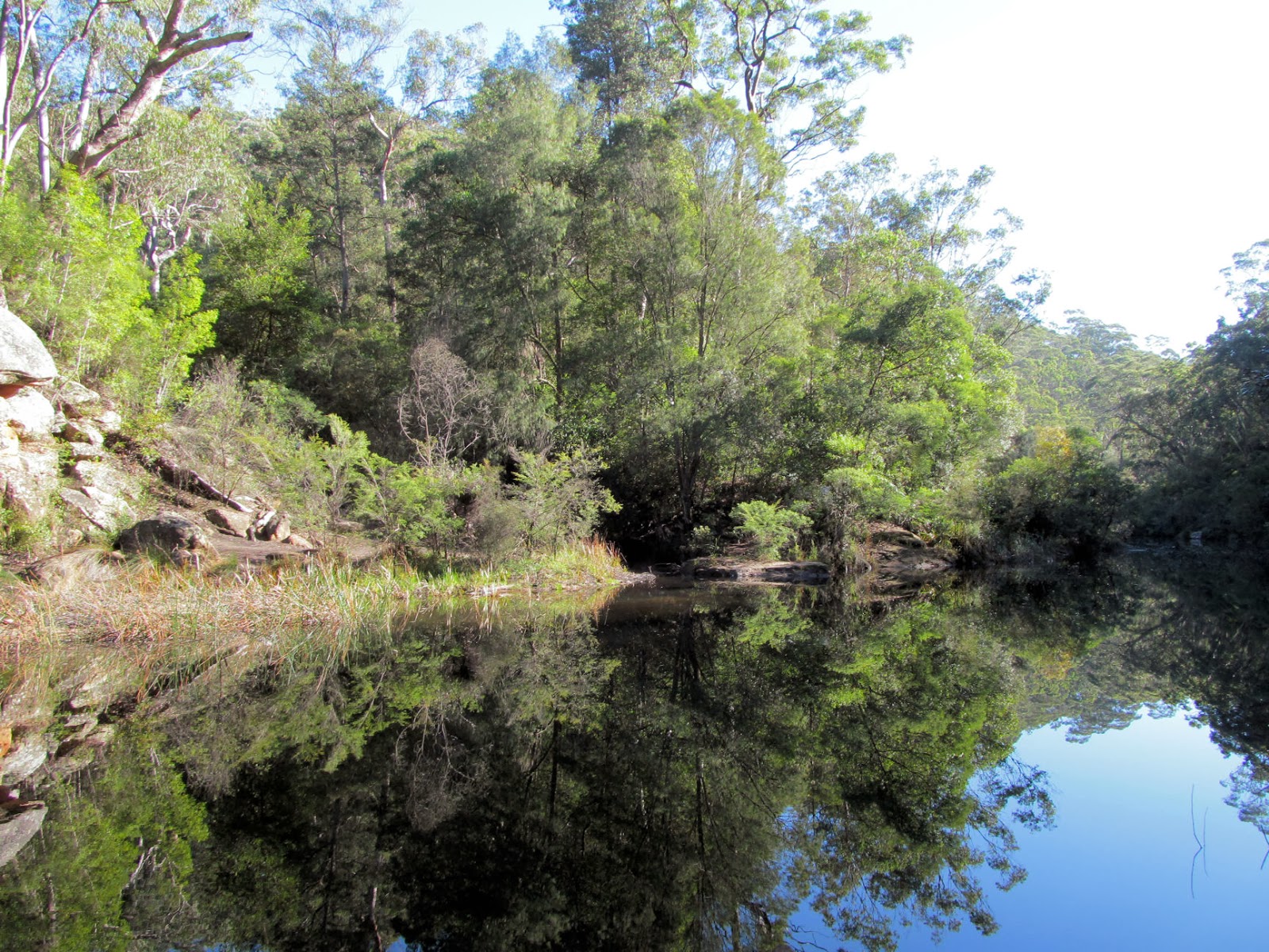 Euroka Clearing | Our Walks