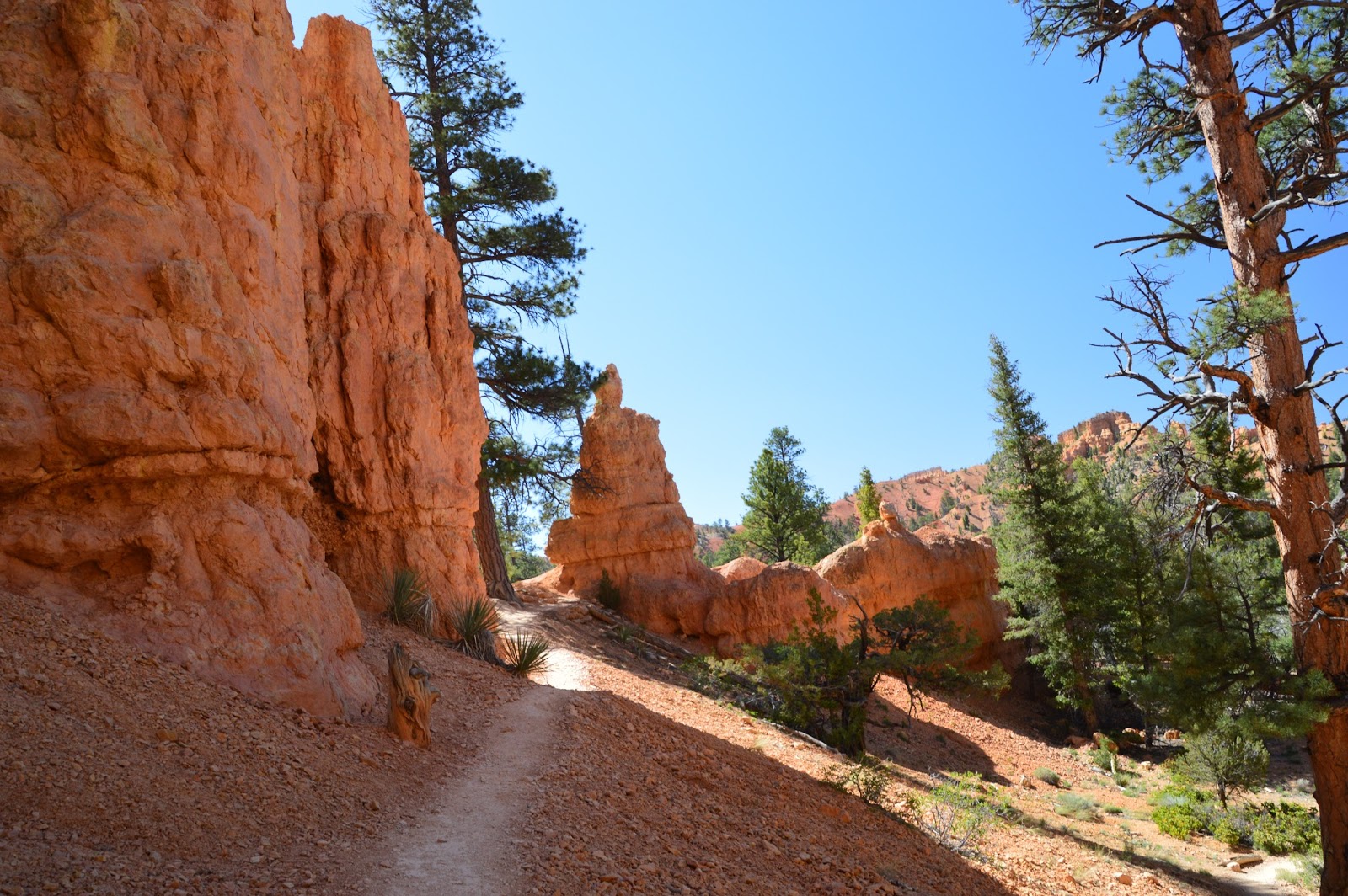 Da Road Trip: Red Canyon, Utah