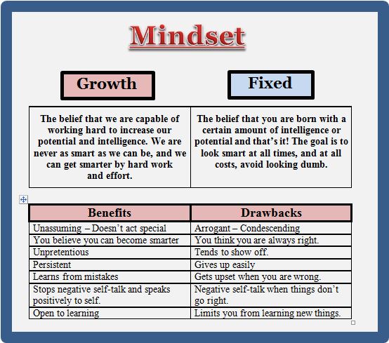 Go Figure!: What Is Your Mindset?