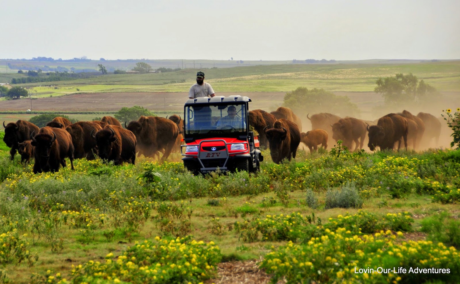 Lovin-Our-Life Adventures: Foss Lake State Park, Oklahoma