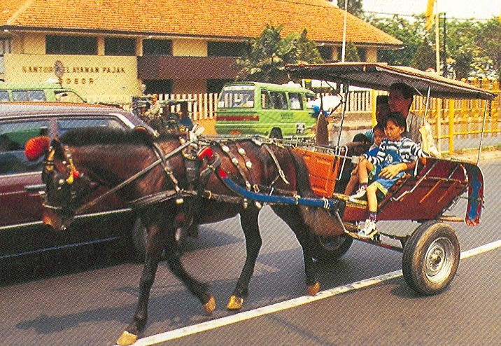 Delman | The World Transportation