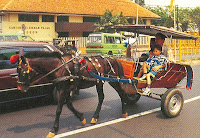 Delman | The World Transportation