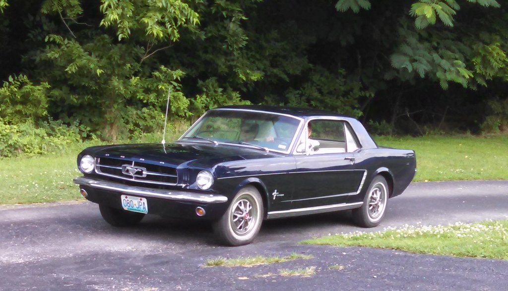 Mustang's Alley: 2017