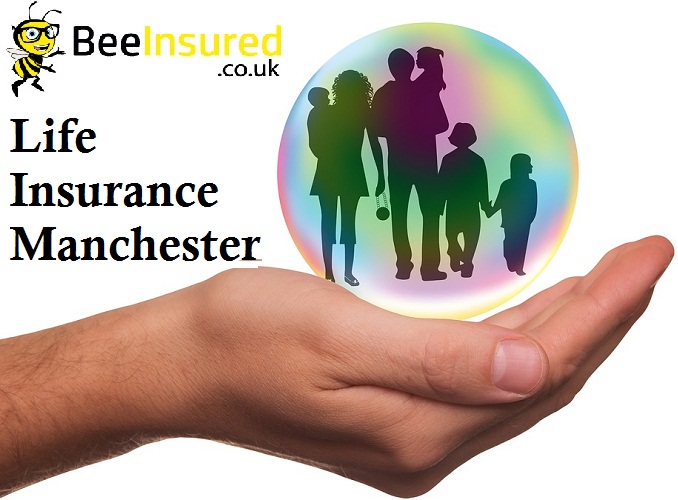 Life Insurance Comparison | Compare Life Insurance - Bee Insured