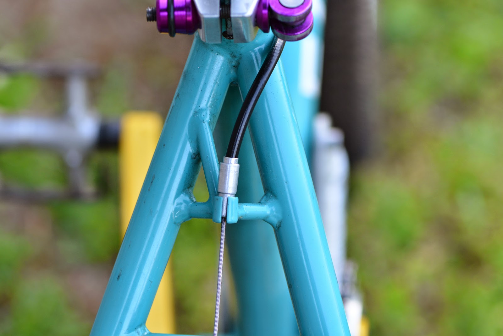 Second Spin Cycles: Yeti Tree Frog trials bike