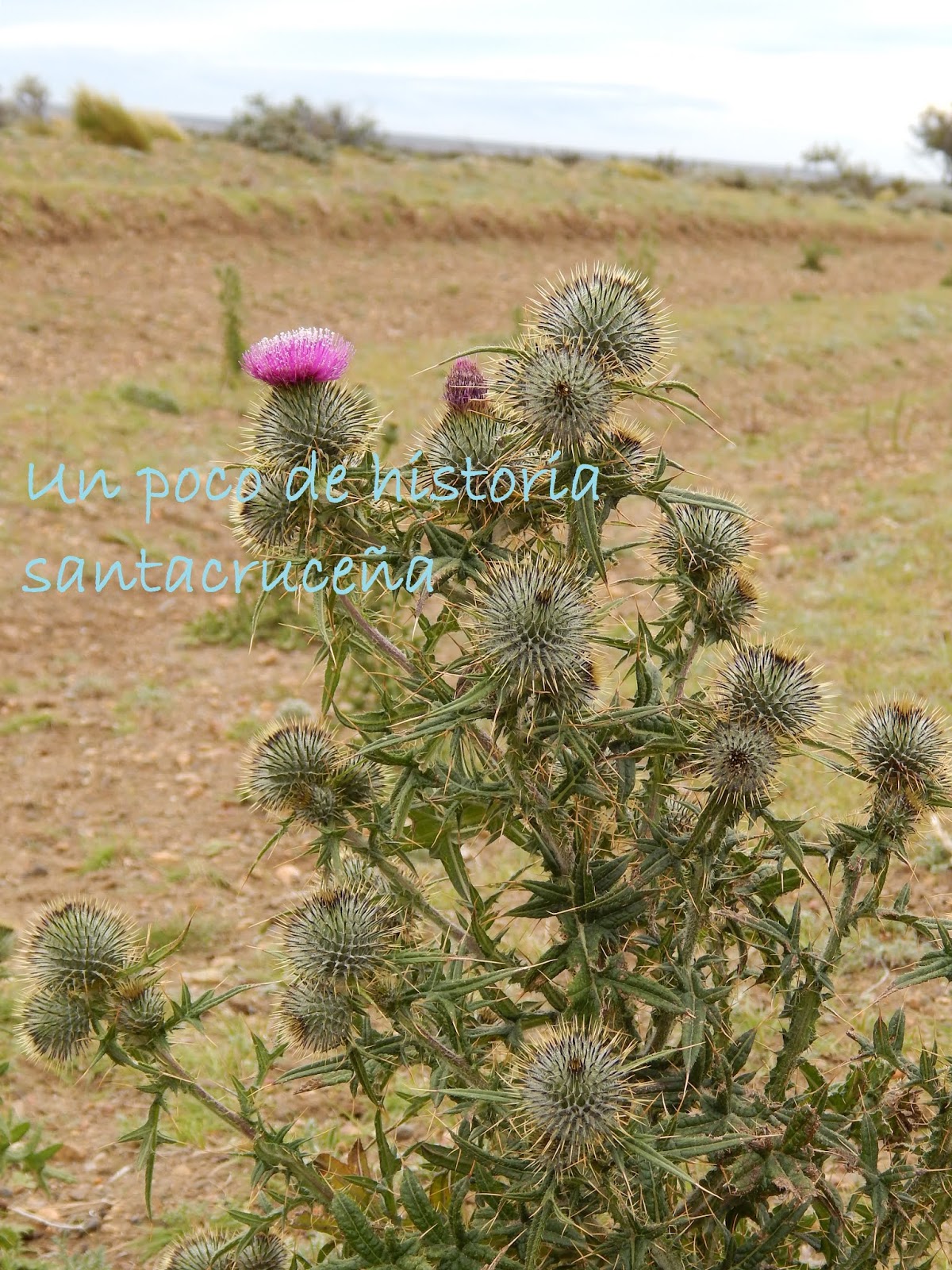 Un poco de historia santacruceña: PUERTO COIG