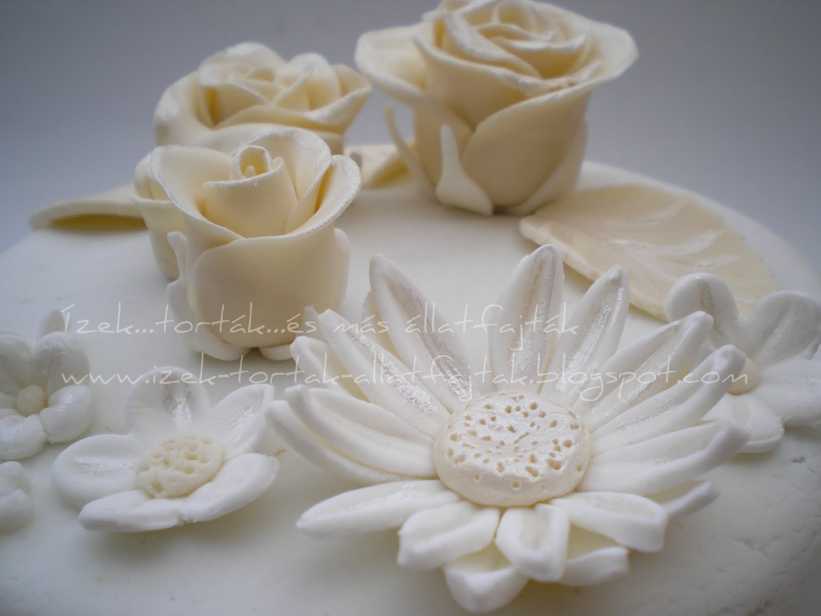 Ízek...torták...és más állatfajták: CSAK TORTÁK