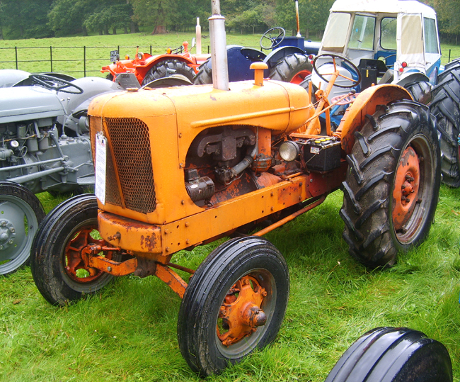 LYNNETTE MILLER: 2011