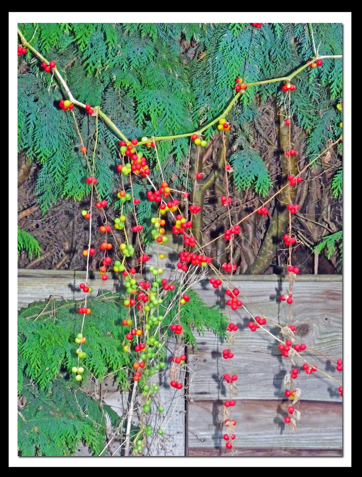 Wild and Wonderful: Seasonal Splash: Bryony Bracelet (or Tiara?)