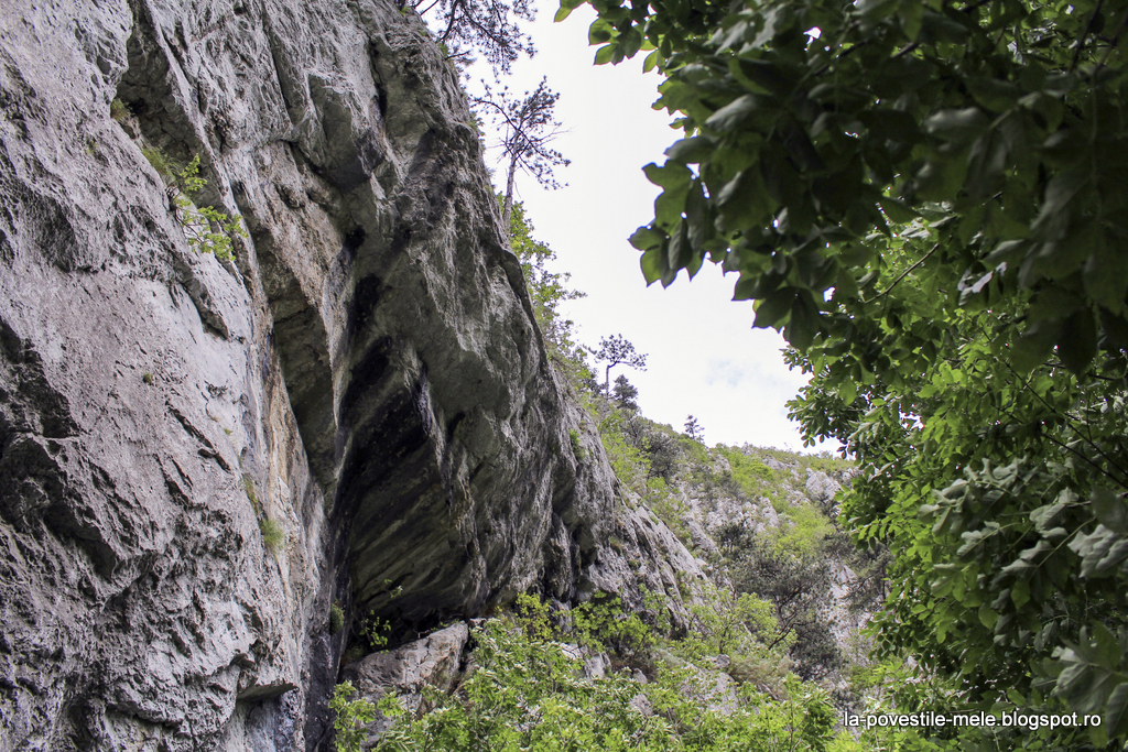 Poveştile mele: Pe fosta granita dintre Austro-Ungaria si Valahia, in ...