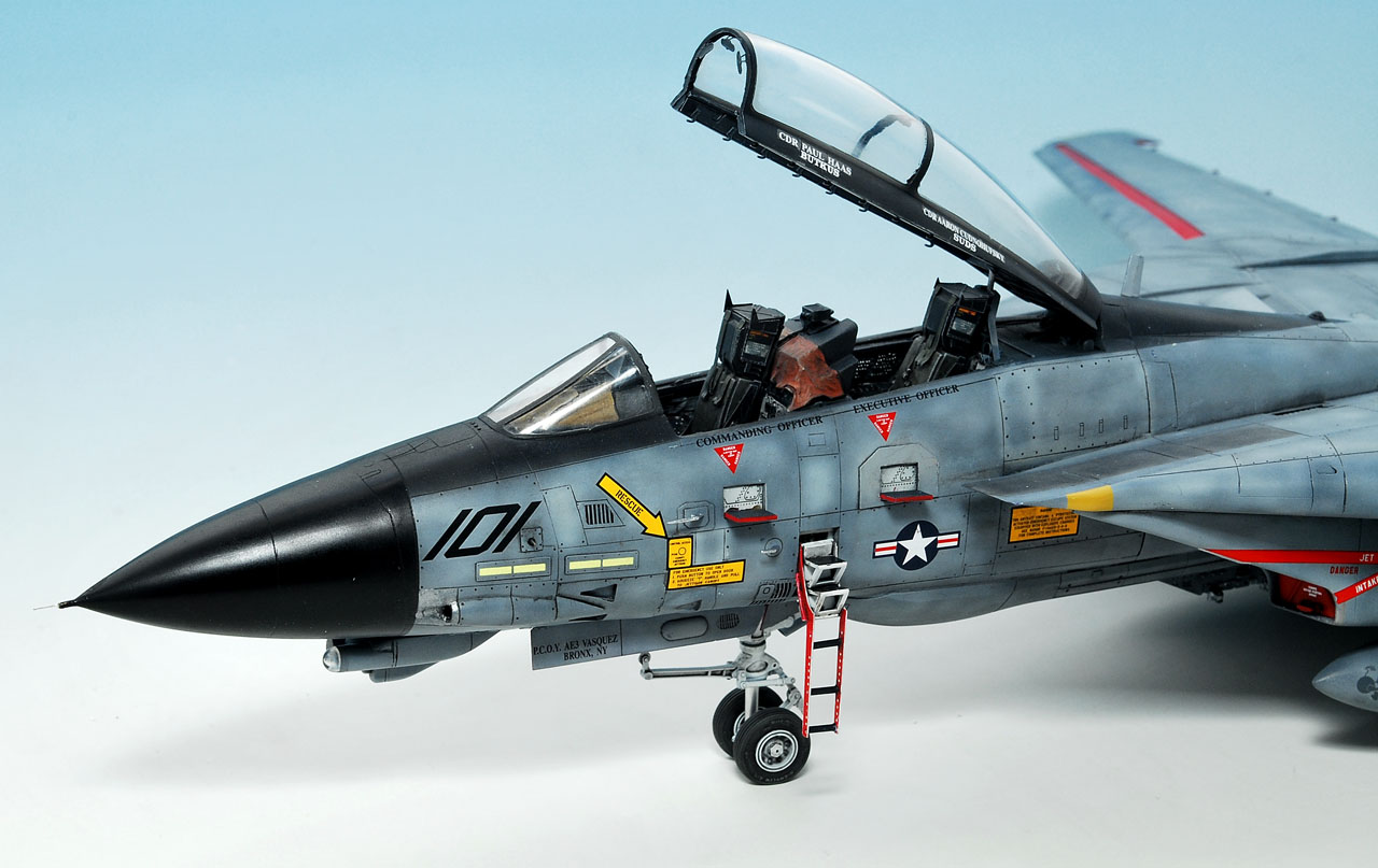Wings of Glory: 1/48 Hasegawa F-14D Tomcat