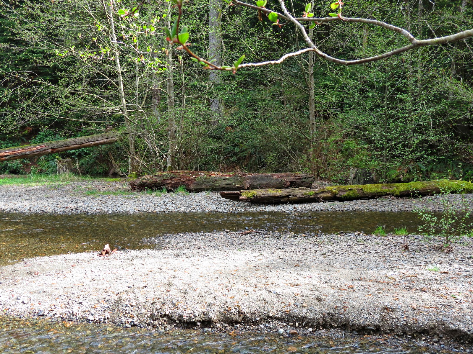 Everything Nanaimo: COLLIERY DAM PARK