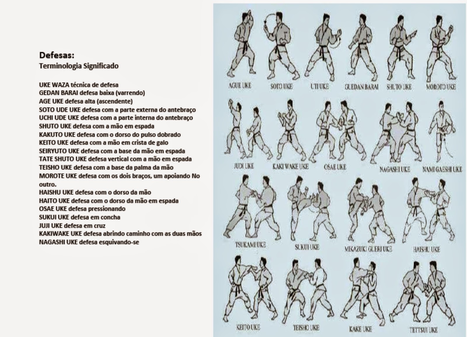 Federação Pernambucana de Karate Budo