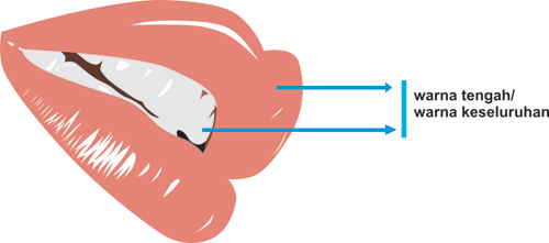 Tutorial Cara Mudah Memvektorkan Bibir | Menggambar Vektor