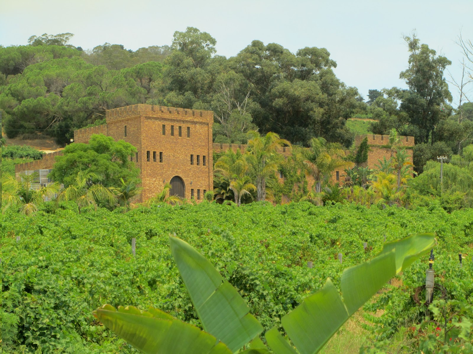 Wineries in the Western Cape: Fort Simon