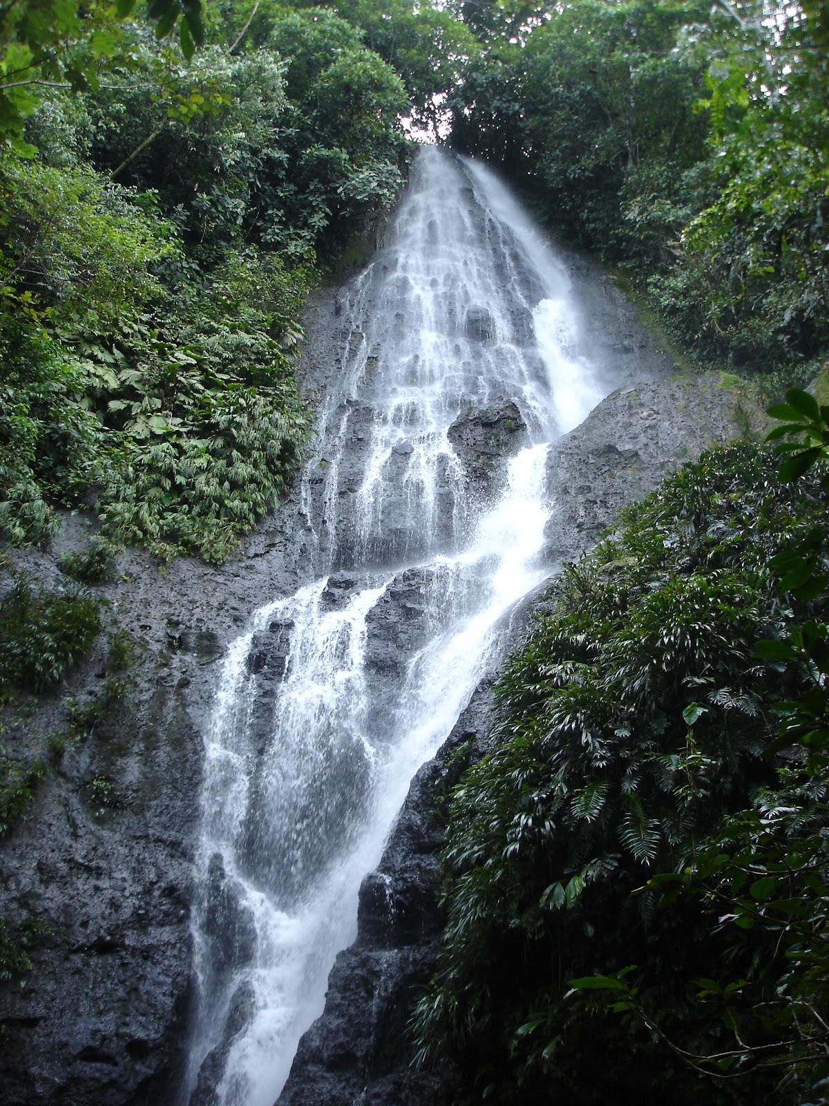 VICTOR JIMENEZ: CANTÓN LORETO - ORELLANA - ECUADOR