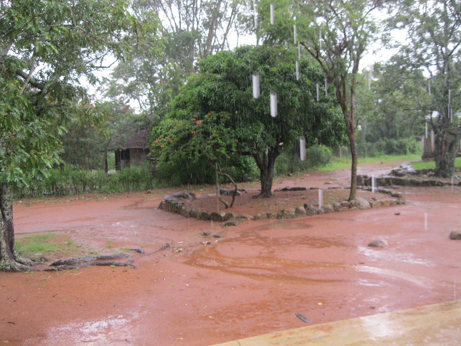 Journey to Mwanza, Tanzania: Visit to Sukuma Cultural Museum