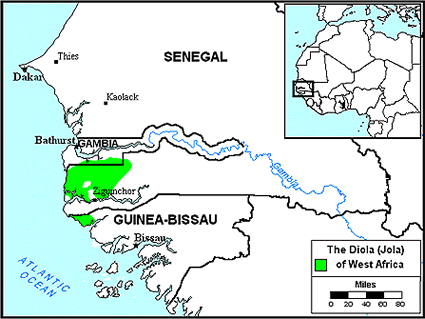 Sancara - Blog sull'Africa: Popoli d'Africa: Jola