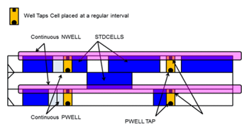 Special cells and their Importance