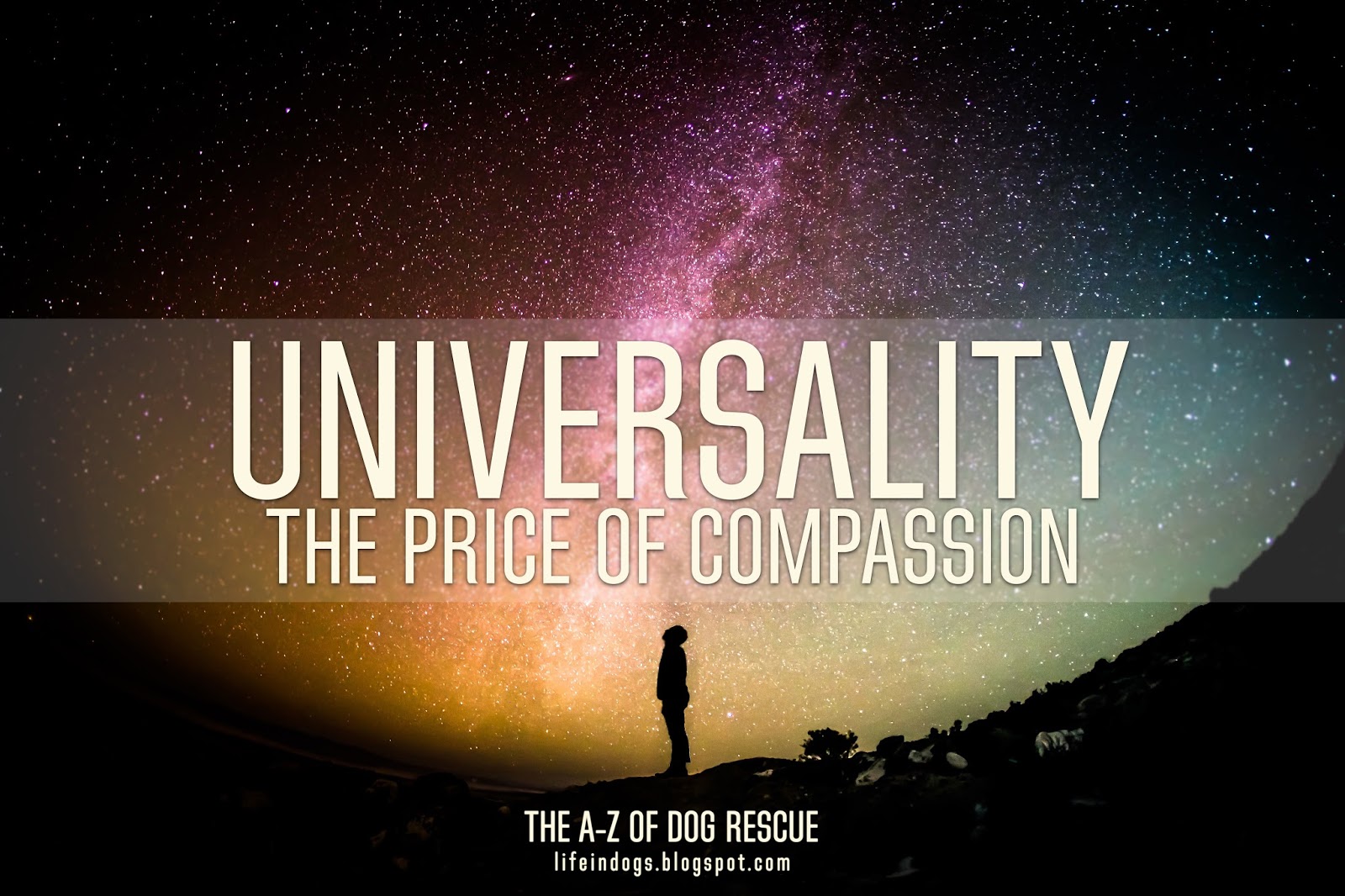 Life In Dogs: A-Z of #Dog Rescue: Universality (The Price of Compassion ...