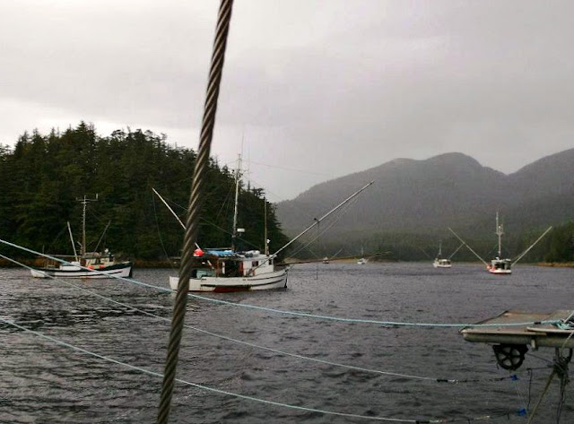 Sandra's Alaska Photography: Late-August 2012: Commercial Fishing ...