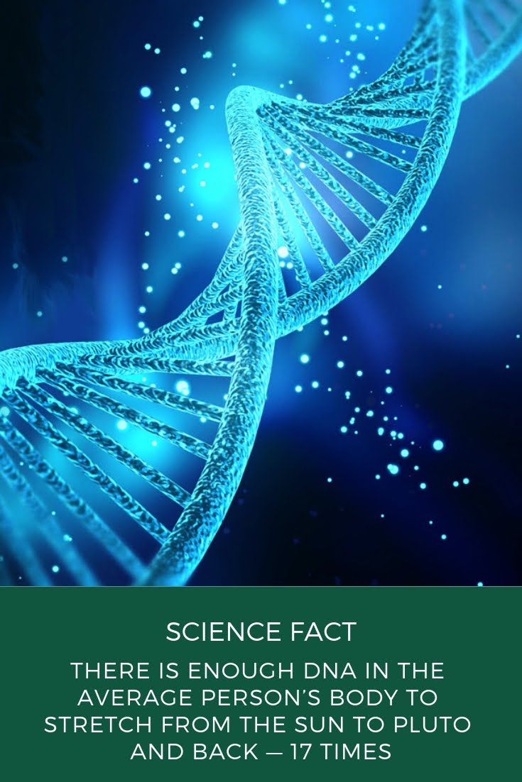 There is enough DNA in the average person’s body to stretch from the ...