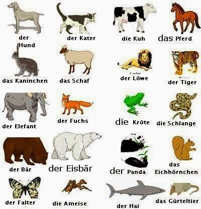 Ramis Deutsch A: März 2014