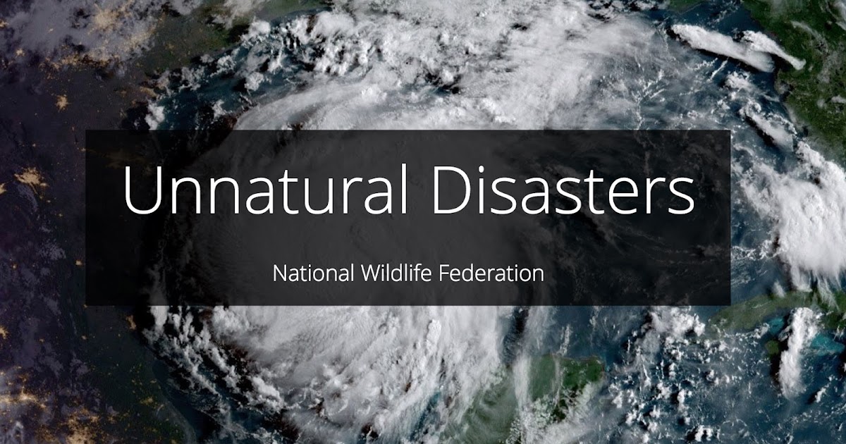 PA Environment Digest Blog: New National Wildlife Federation Unnatural ...