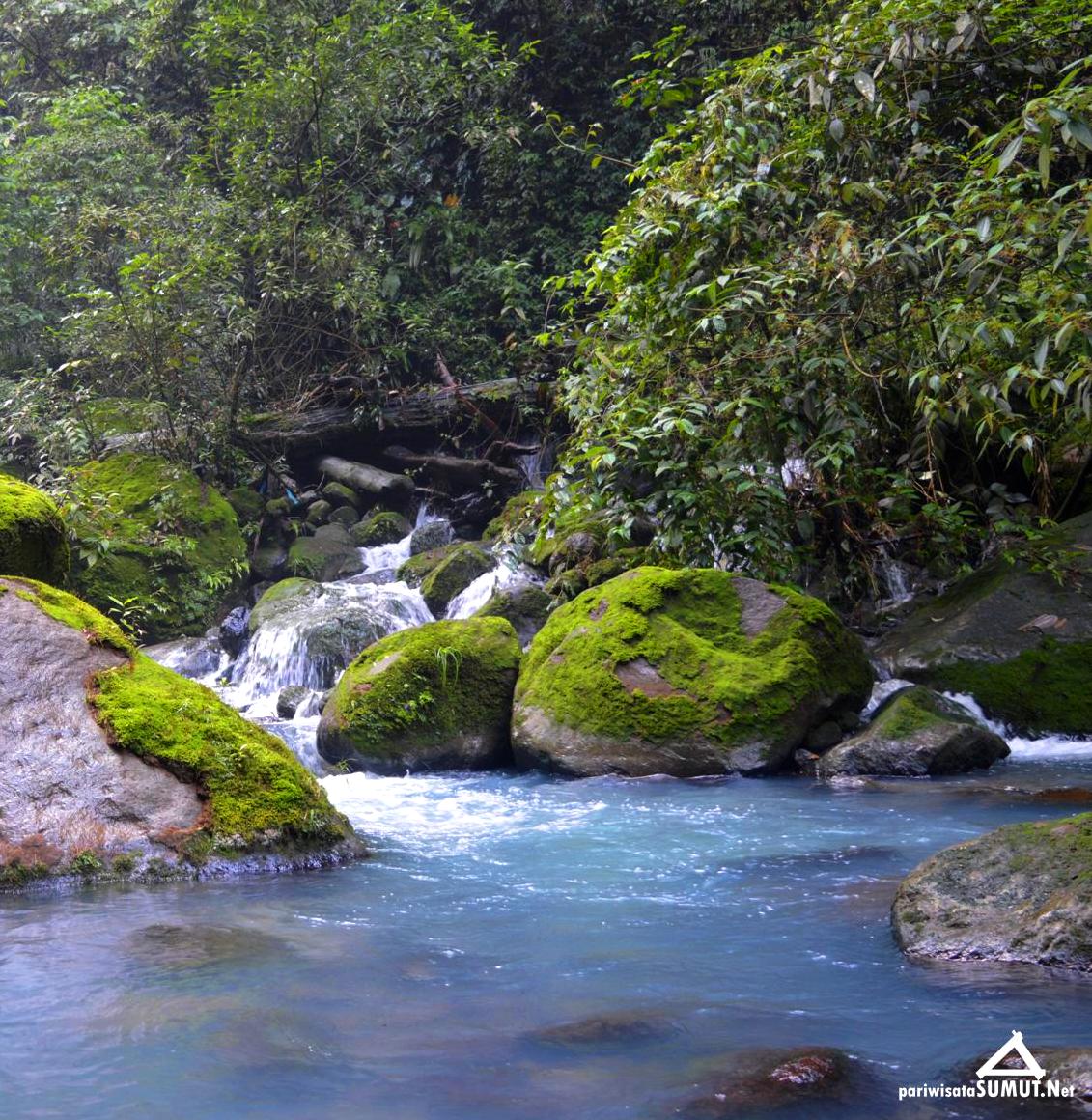 9 Kawasan Cagar Alam di Sumatera Utara yang Perlu Kamu Ketahui ...