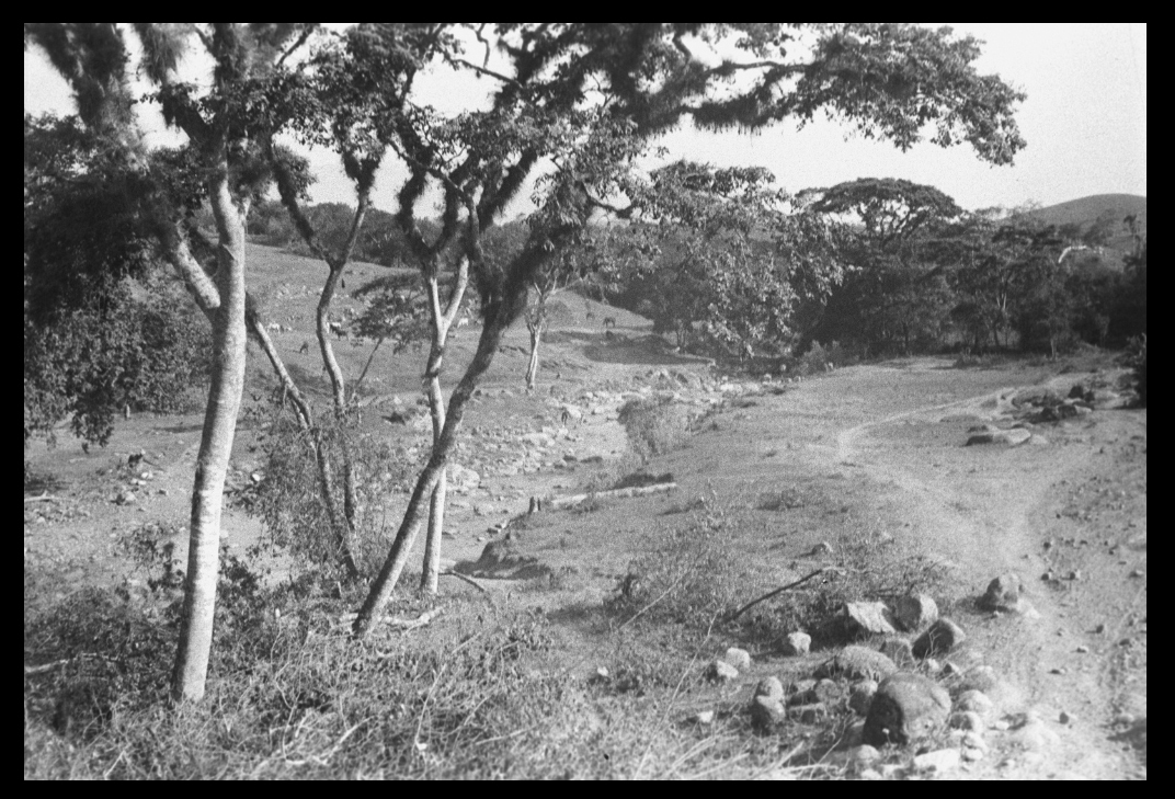 FOTOS ANTIGUAS DE TIMANA HUILA AÑOS 30s