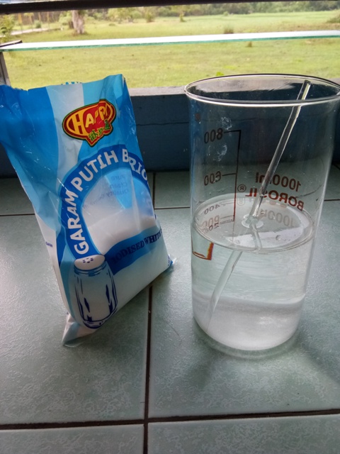 Cikgu Nurul : Aktiviti Ketumpatan