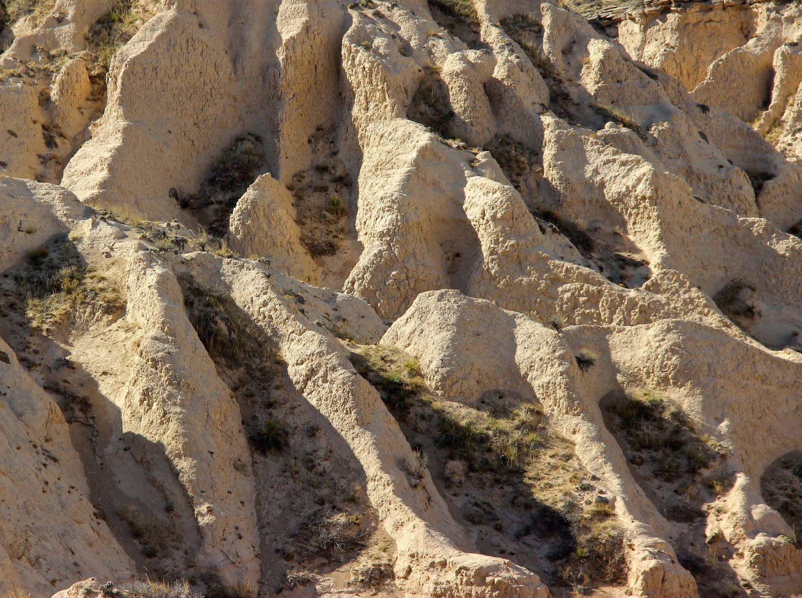 In the Company of Plants and Rocks: Erosion in a Land of Sky and Grass