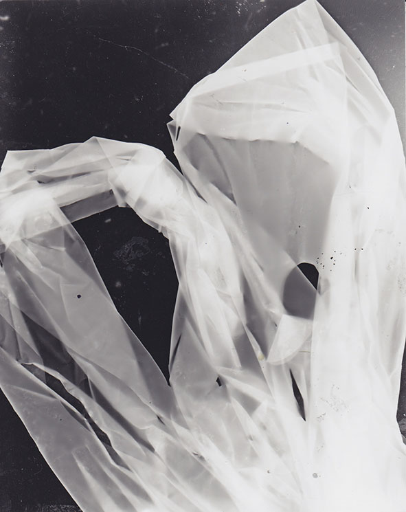 Fine Art/ Photography Portfolio : Plastic Bag Photograms & Scanograms