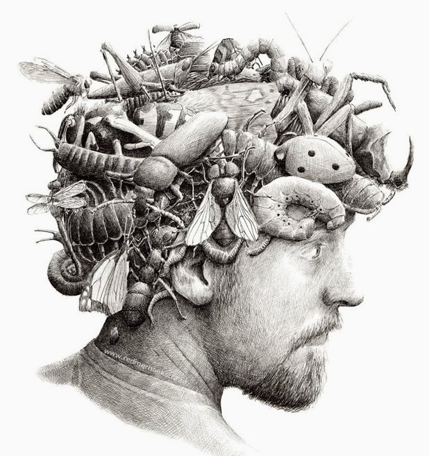 I need a guide: redmer hoekstra