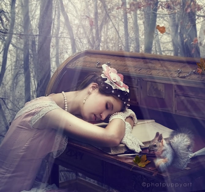 Beautiful Wallpapers: lovely photos