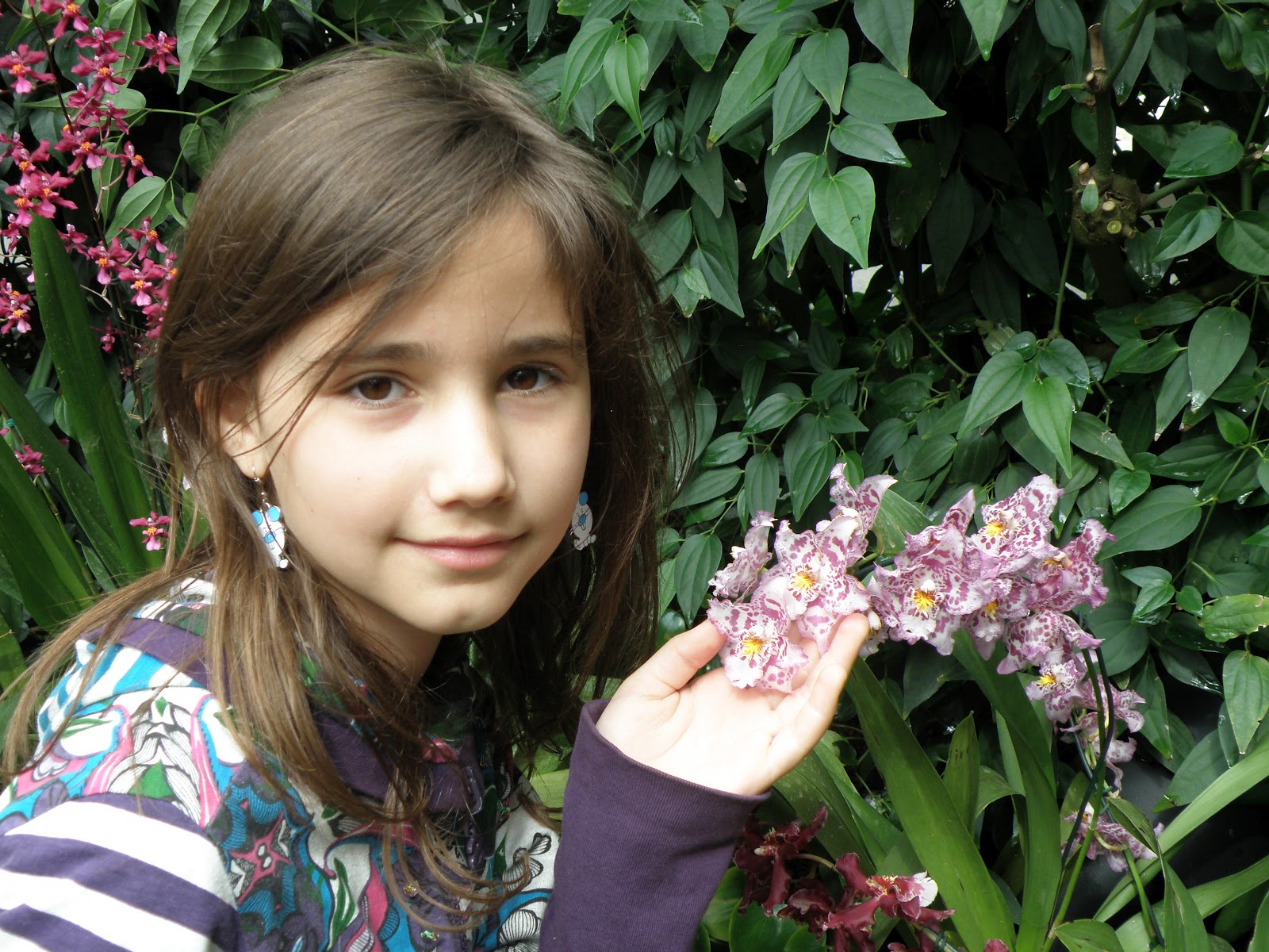 Si totusi povestile...: Cateva poze cu orhidee