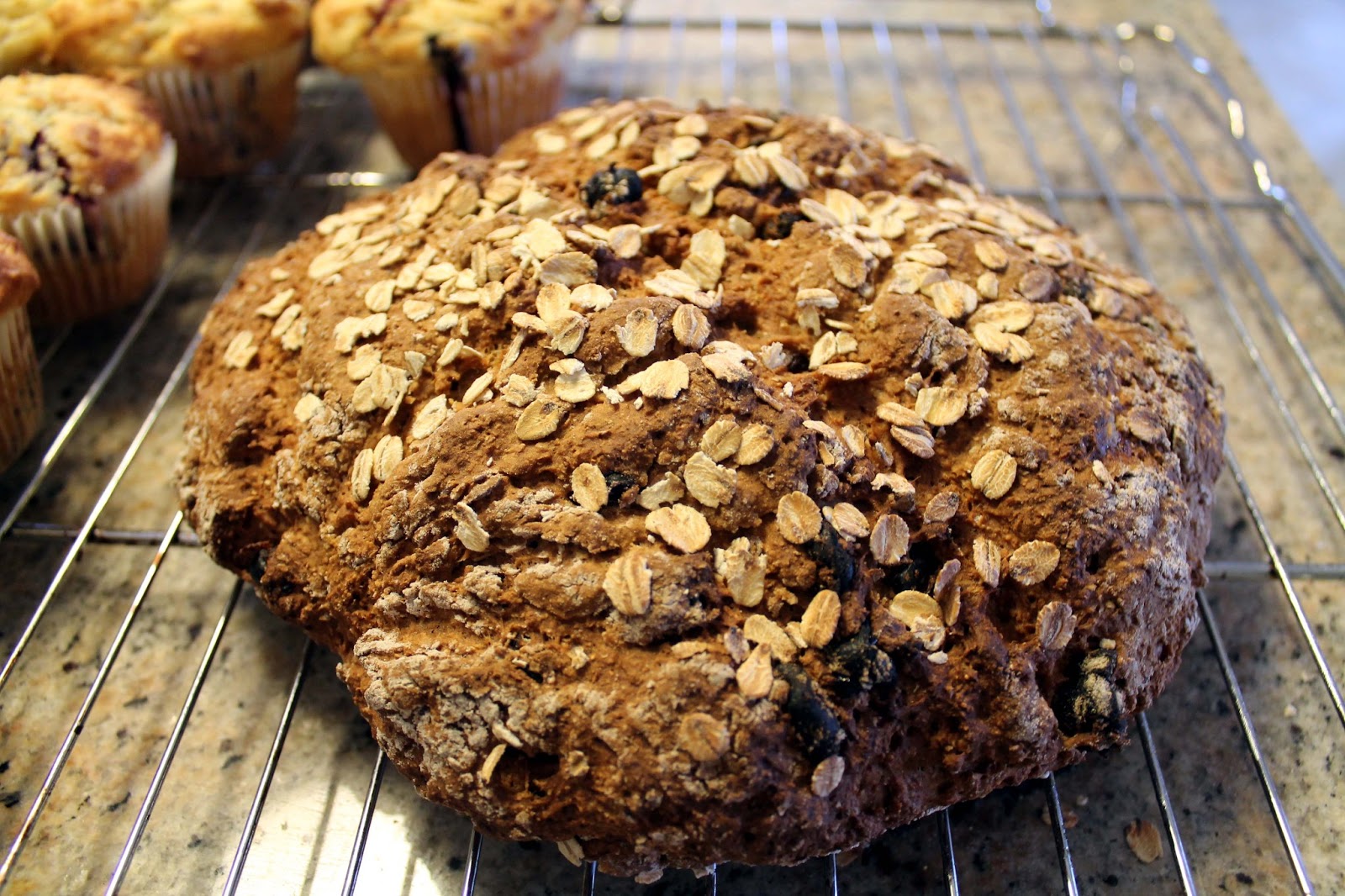 Serena's Medium Rare: Healthy Spotted Dog