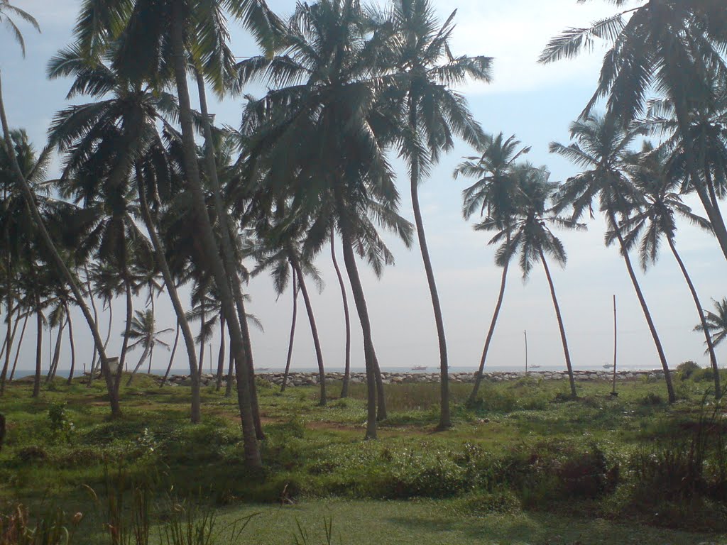 Tamilnadu Tourism: Colachel Beach, Kanyakumari