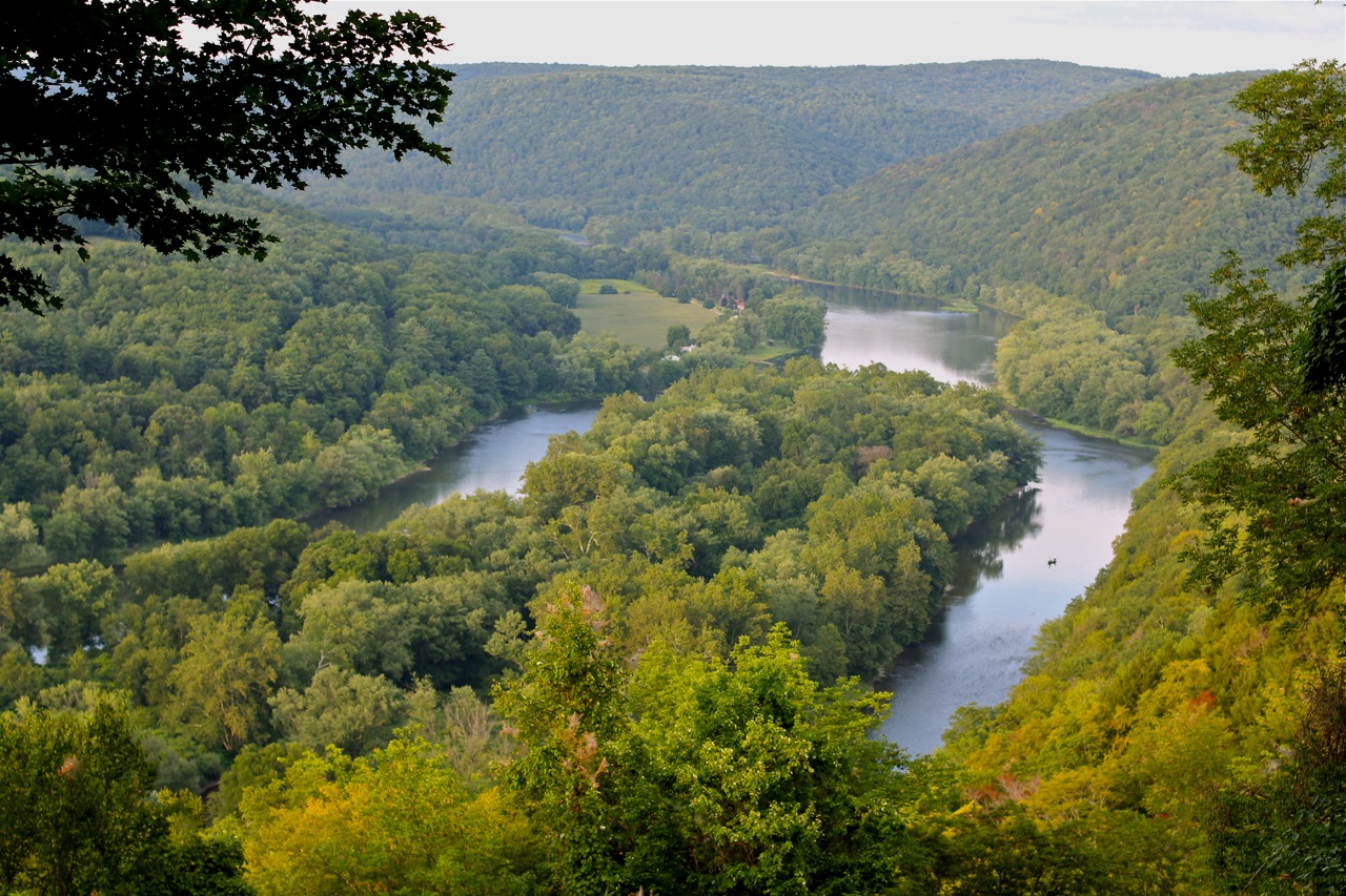 Tanya's Photo Caravan: Allegheny National Forest, PA