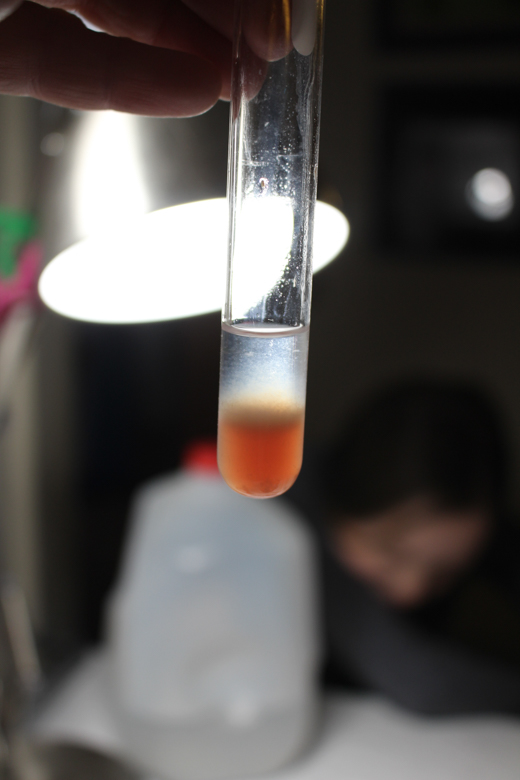 Craft Knife: Homeschool Biology: Extract and Visualize DNA from Beef Liver