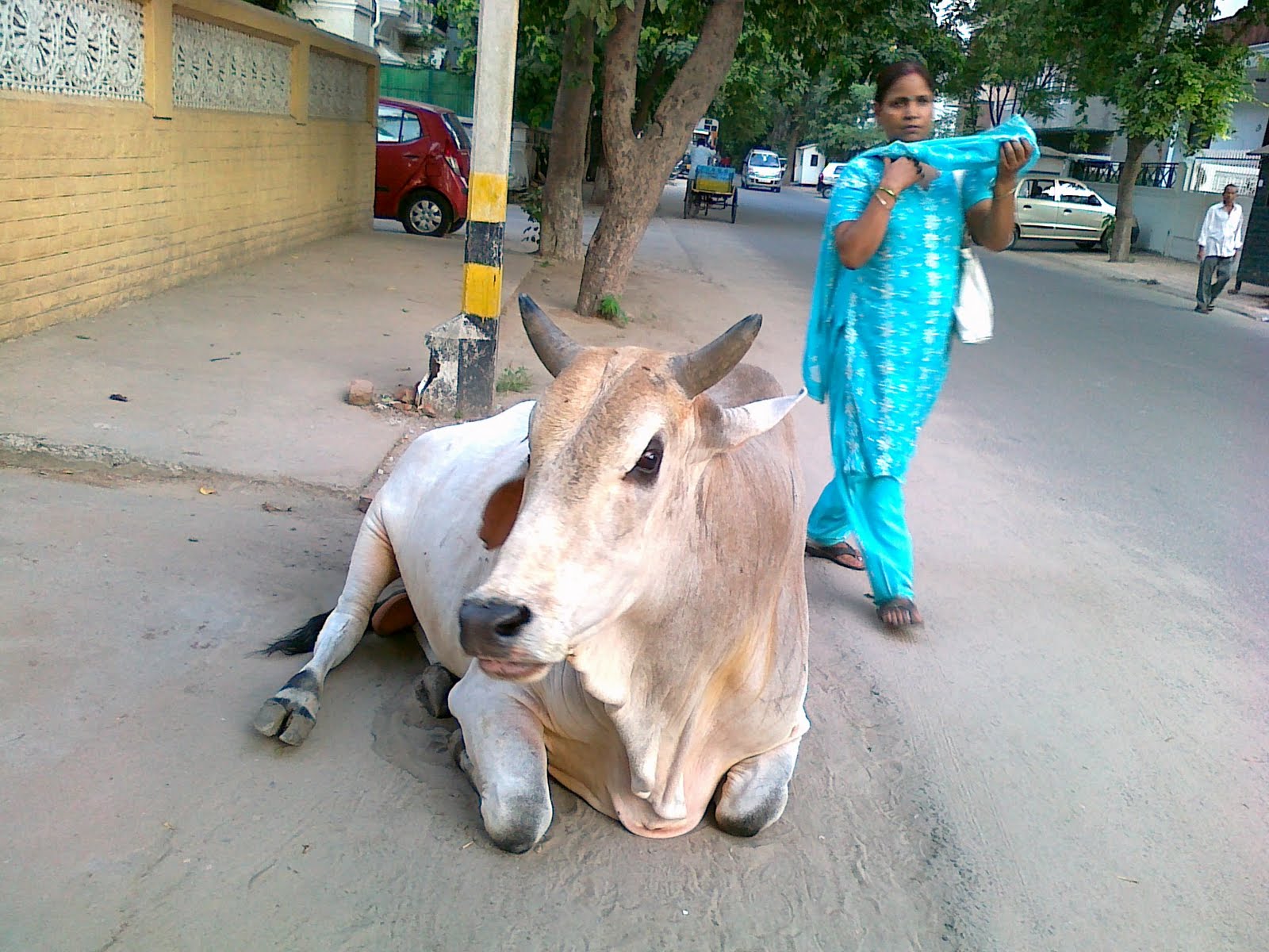 Adventures (culinary or otherwise) in India: Holy Cow !! Some more ...