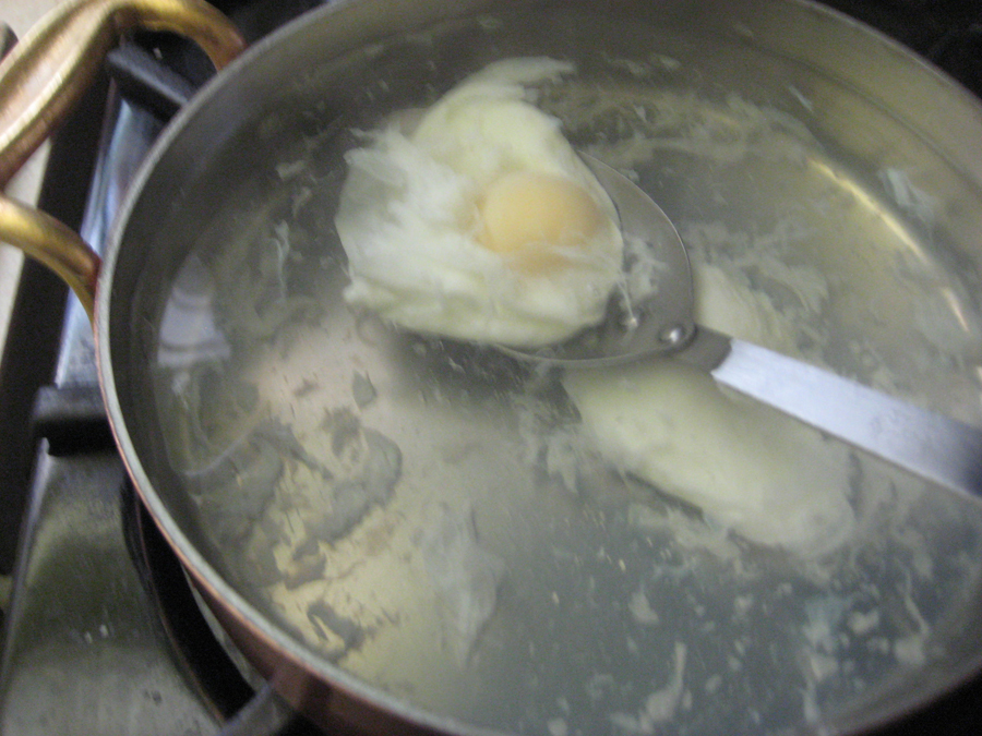 Principles of Cooking