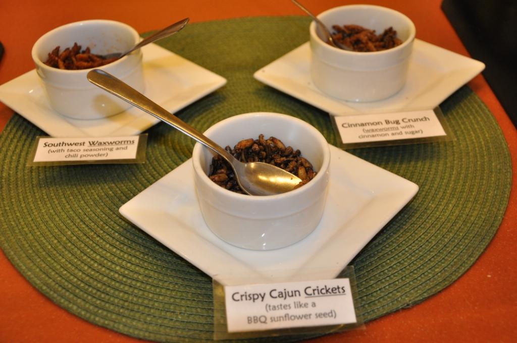 Savor The Days: Audubon Insectarium in New Orleans