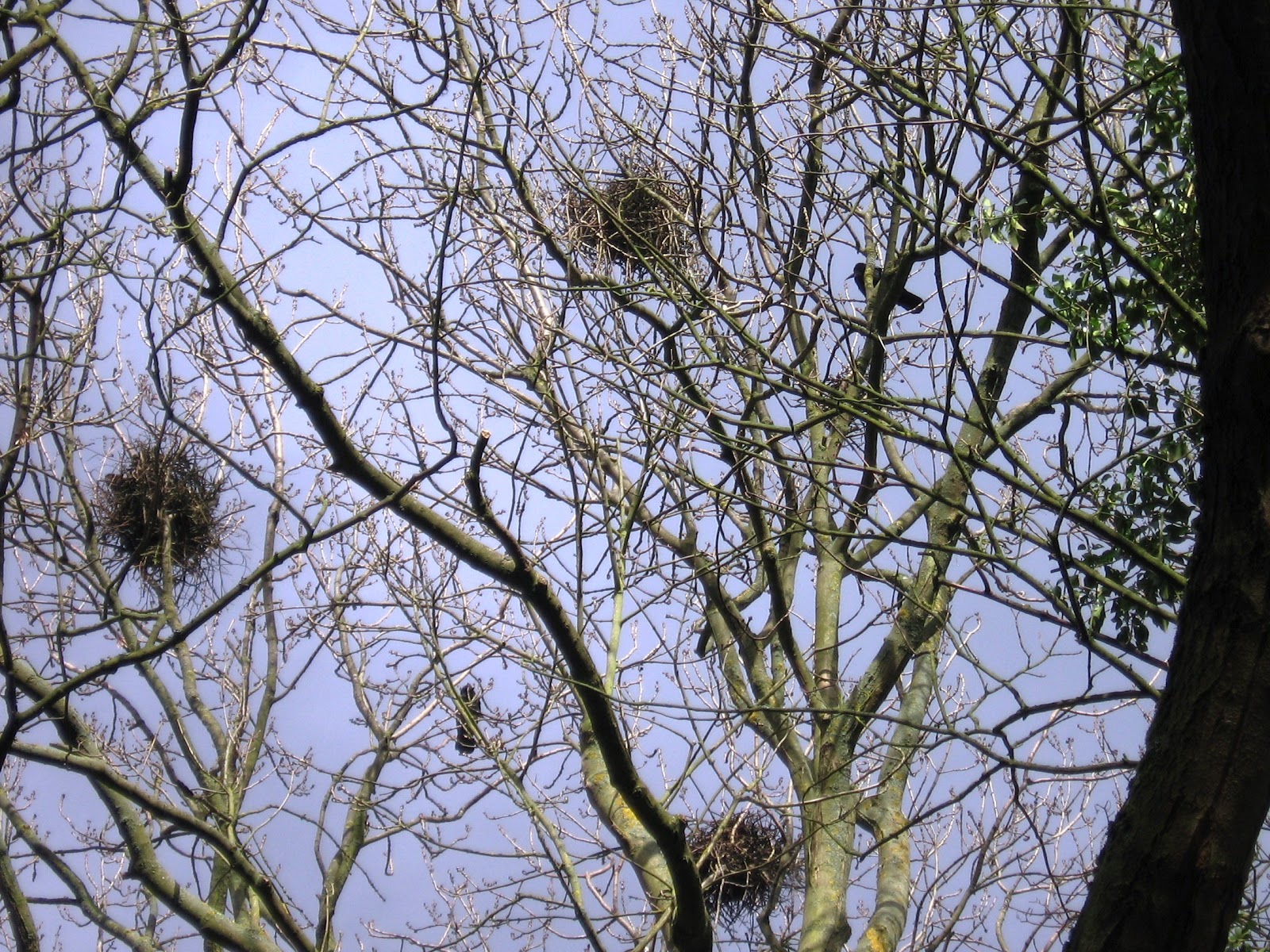 Boatlife: Cruising Aboard NB Valerie: Brewood Walk: Part II--the ...